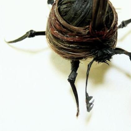 Adrienne Antonson Makes Insects Out of Human Hair | Amusing Planet